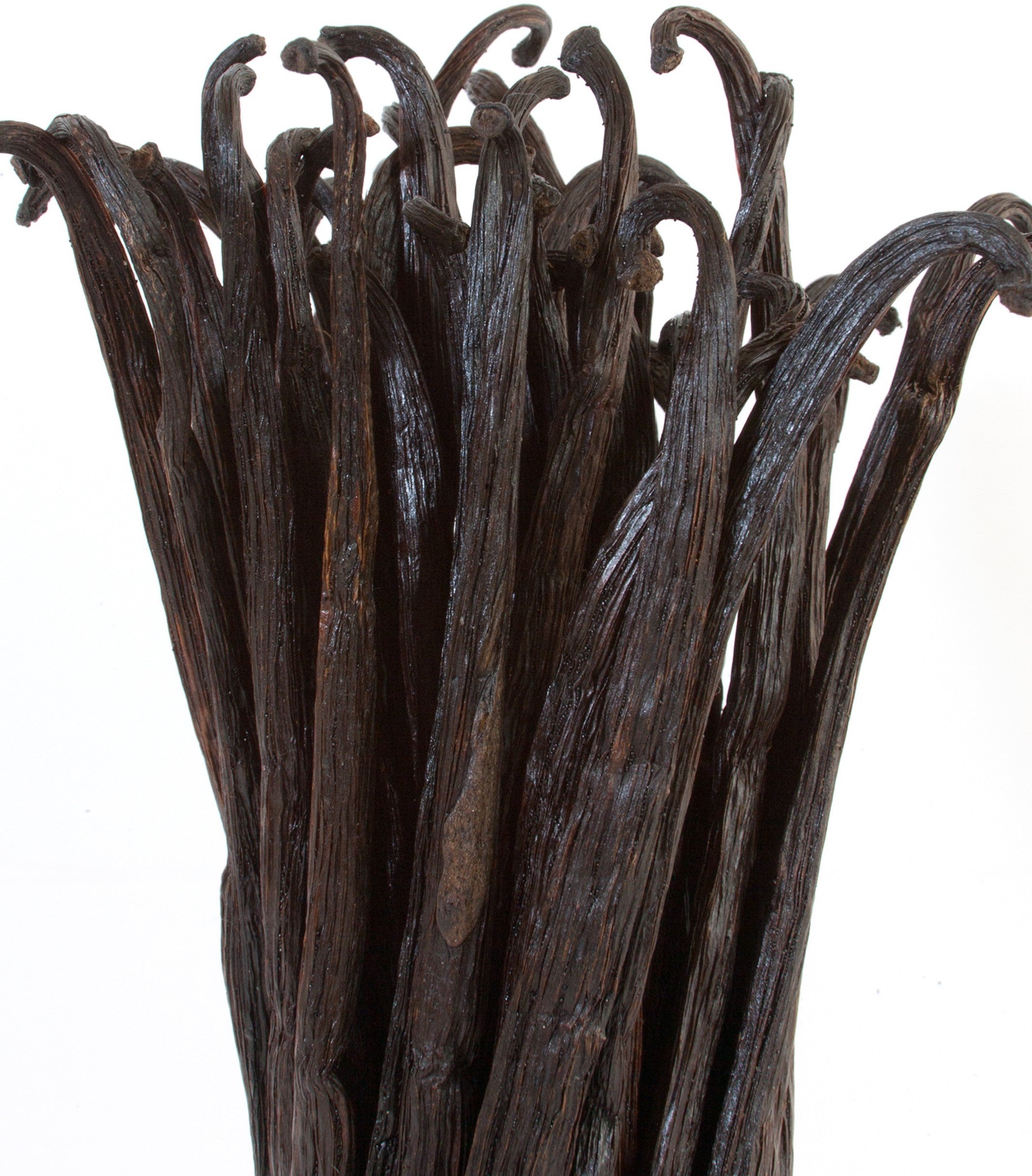 Premium Vanilla Beans – vanillasoftheworld.com